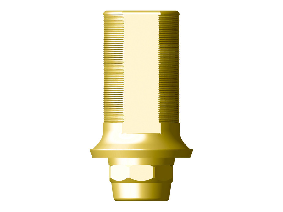 Diamodent ® | The Smart Choice for Precision Prosthetic Products | Ti BASE